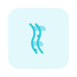 Vertebral column also known as the backbone Vector Image