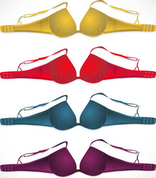 Red bra set Royalty Free Vector Image - VectorStock