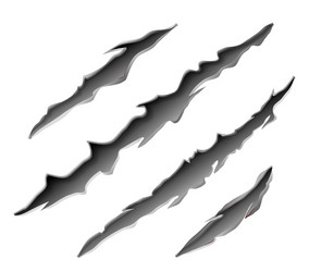 Lion Scratch Vector Images (over 770)