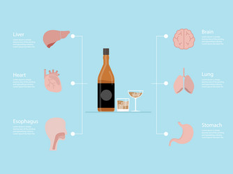 Alcohol infographic diseases and effects on body Vector Image