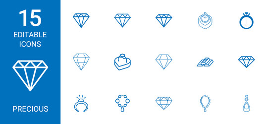 Precious icons Royalty Free Vector Image - VectorStock