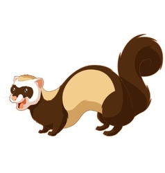Polecat Vector Images (97)