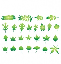 Leaf Vector Images (over 410,000) - VectorStock
