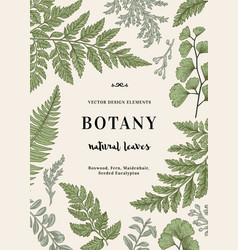 Leaf Vector Images (over 470,000)