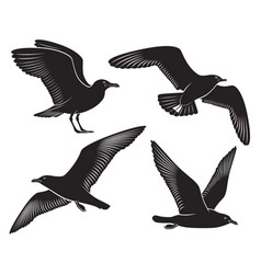 Seagull silhouettes Royalty Free Vector Image - VectorStock