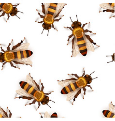 Bees pattern Royalty Free Vector Image - VectorStock