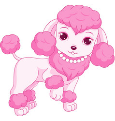 Pink poodle Royalty Free Vector Image - VectorStock