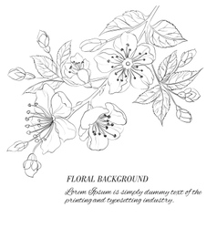 Japanese cherry tree blossom over white Royalty Free Vector Image ...