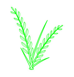 Paddy Vector Images (over 420)