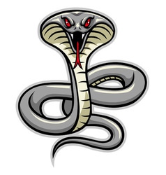 Snake attacke Royalty Free Vector Image - VectorStock