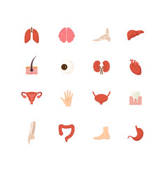 Human body systems Royalty Free Vector Image - VectorStock