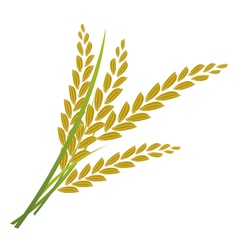 Floral & Decorative Vector Art - Royalty-Free Vectors