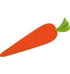 Carrots Detailed Icon Royalty Free Vector Image