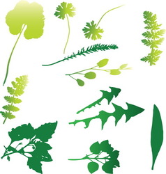 Weed Vector Images (over 6,900)