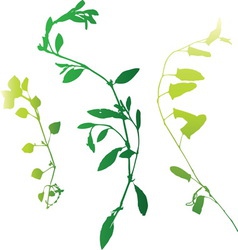 Weed Vector Images (over 6,900)