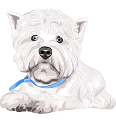 Westie Vector Images (7)