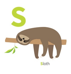 Sloth Vector Images (over 430)
