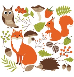 Cute autumn forest animals Royalty Free Vector Image - VectorStock