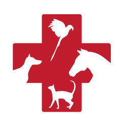 Vet, Medical & Logo Vector Images (over 210)