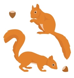 Squirrel Vector Images (over 5,400)