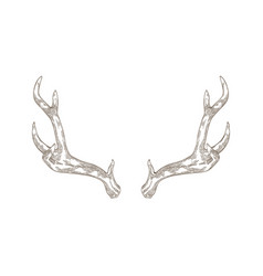 Antler Vector Images (over 21,000)