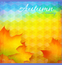 Autumn fall background with bright golden maple Vector Image