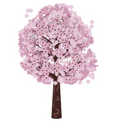 Blooming Sakura Branch Royalty Free Vector Image