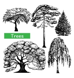 Hand drawn tree symbol Royalty Free Vector Image