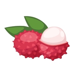 Litchi Vector Images (over 150)