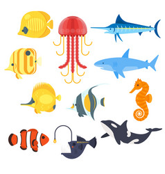 Coral reefs set Royalty Free Vector Image - VectorStock