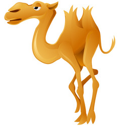 Camel Vector Images (over 12,000)