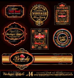 Vintage gold black frame decor label Royalty Free Vector