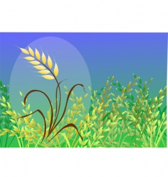 Paddy Vector Images (over 410) - VectorStock