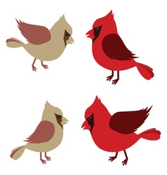 Cardinal Bird Flying Animation Royalty Free Vector Image - VectorStock