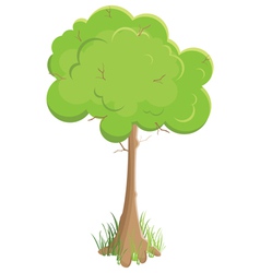 A big old tree Royalty Free Vector Image - VectorStock