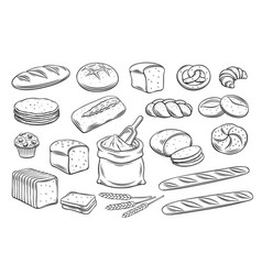Bread rolls outline icon Royalty Free Vector Image