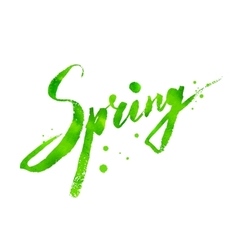 Watercolor pineapple Royalty Free Vector Image