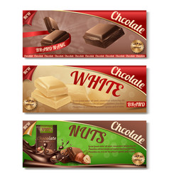 Realistic chocolate bar package template Vector Image