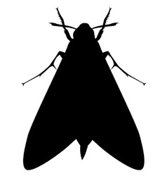 Moth Vector Images (over 2,400)