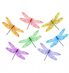 Dragonfly Royalty Free Vector Image - VectorStock