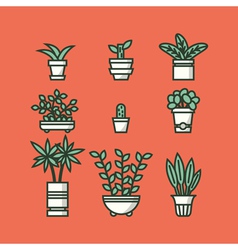 Sunflower plant in flower pot Royalty Free Vector Image