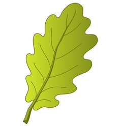 Leaf Vector Images (over 410,000) - VectorStock