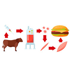 Cultured lab-grown meat infographics synthetic Vector Image
