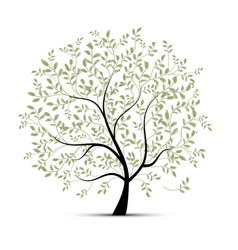 Spring tree green with birds for your design Vector Image