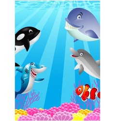 Smiling shark cartoon Royalty Free Vector Image