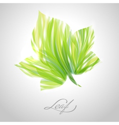 Leaf Vector Images (over 430,000)