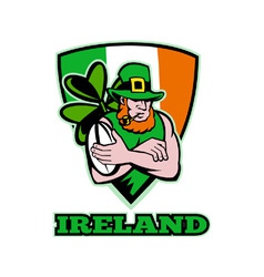 Irish rugby shield Royalty Free Vector Image - VectorStock