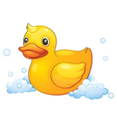 Ducks Royalty Free Vector Image - VectorStock