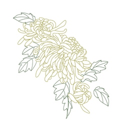 Chrysanthemum Vector Images (over 2,400)