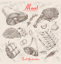 Meat products hand drawn sketches of food Vector Image